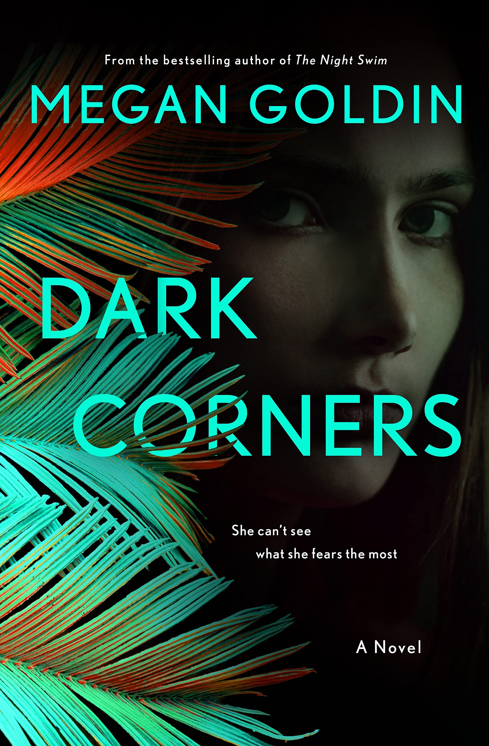 Dark Corners (Rachel Krall #2) – Bookstore N More